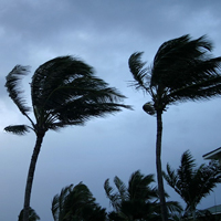 10 steps to prepare for a hurricane | Chubb