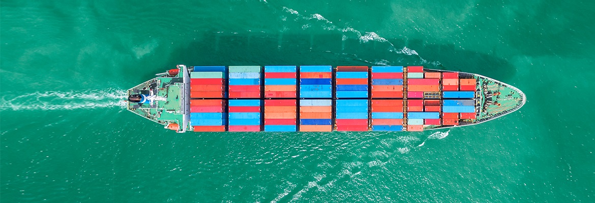 Quick Guide on Cargo Plus - Chubb in Indonesia