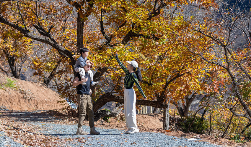 Why is it important to spend holidays with your family | Chubb