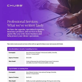 Professional Services & Business Consultant Insurance | Chubb