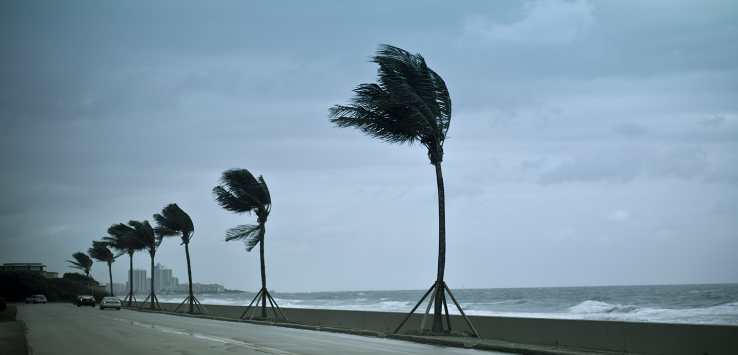 10 Steps to Prepare for a Cyclone | Chubb