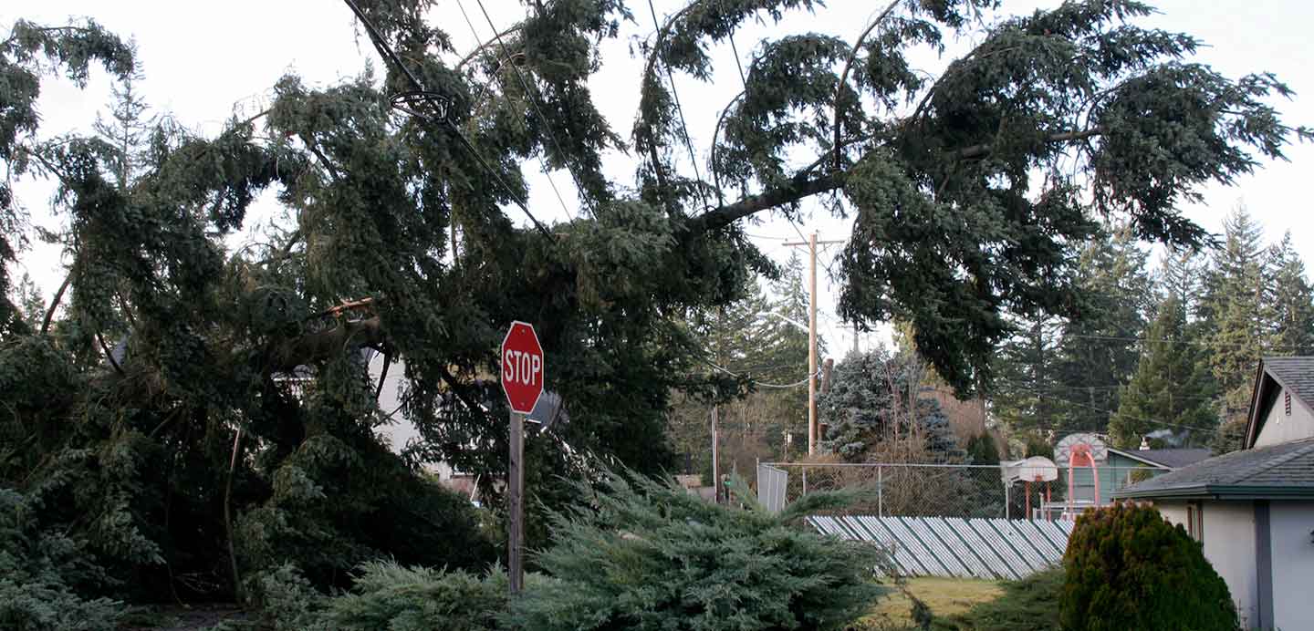 Protect Your Home From Wind and Wind-Driven Rain | Chubb