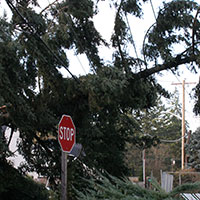 Protect Your Home From Wind and Wind-Driven Rain | Chubb