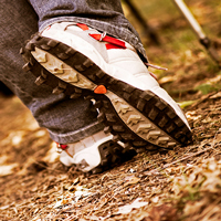 Walking tours in Japan | Chubb