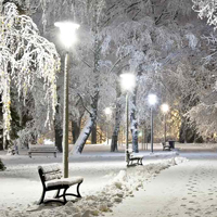 What to do after a winter storm | Chubb