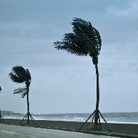 10 steps to prepare for a cyclone | Chubb in Australia