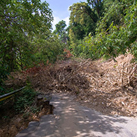 Tips for staying safe during a landslide | Chubb